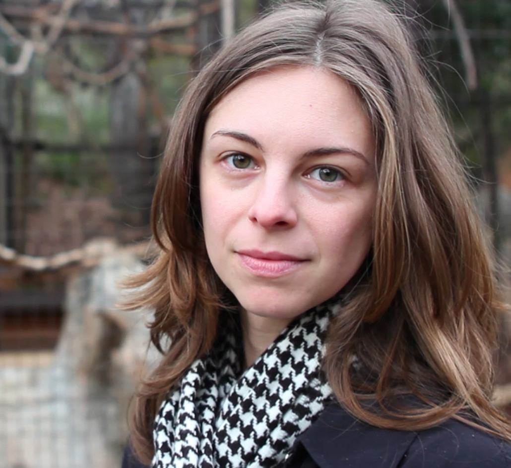 Elizabeth Stehling: The Inspired Pedestrians - Art in the Loop